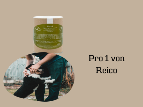 Reico Pro 1: Anwendung und Vorteile für Dich und Deinen Hund - REICO Hundefutter